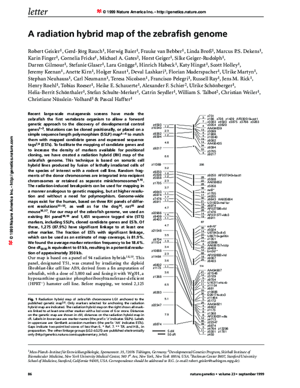 (PDF) A radiation hybrid map of the zebrafish genome