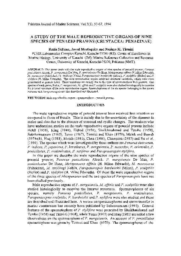 (PDF) A STUDY OF THE MALE REPRODUCTIVE ORGANS OF NINE SPECIES OF ...