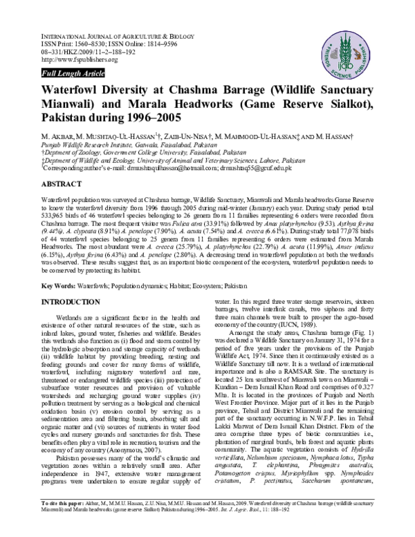 (PDF) Waterfowl Diversity at Chashma Barrage (Wildlife Sanctuary ...
