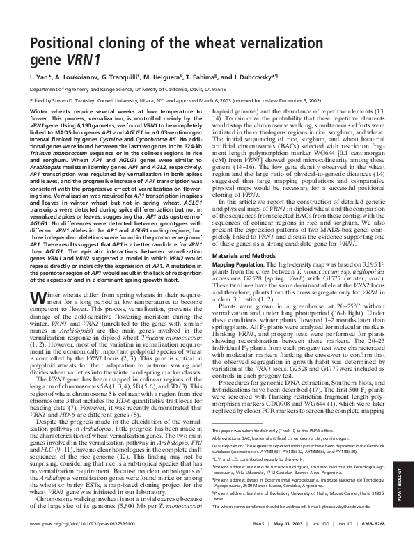 (PDF) Positional cloning of the wheat vernalization gene VRN1