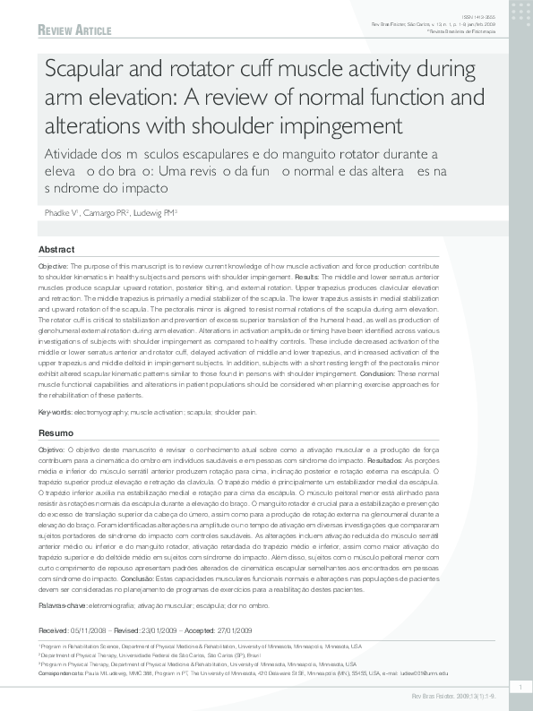 (PDF) Scapular and rotator cuff muscle activity during arm elevation: a ...