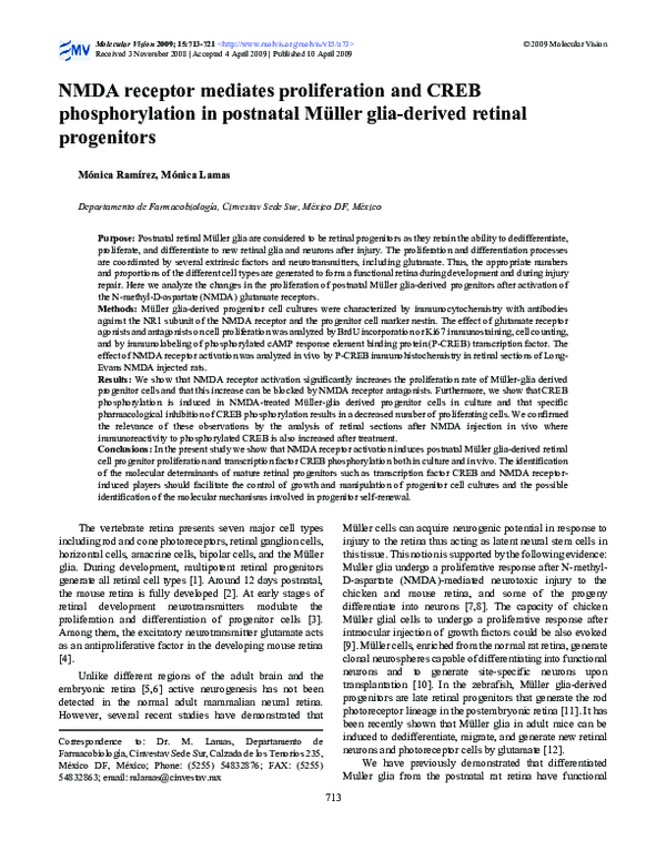 (PDF) NMDA receptor mediates proliferation and CREB phosphorylation in ...