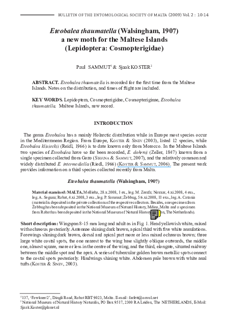 (PDF) Eteobalea thaumatella (Walsingham, 1907) a new moth for the ...