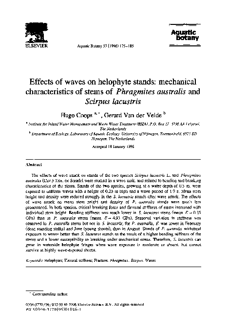 (PDF) Effects of waves on helophyte stands: mechanical characteristics ...