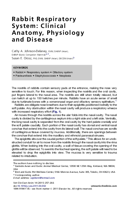 (PDF) Rabbit Respiratory System: Clinical Anatomy, Physiology and Disease