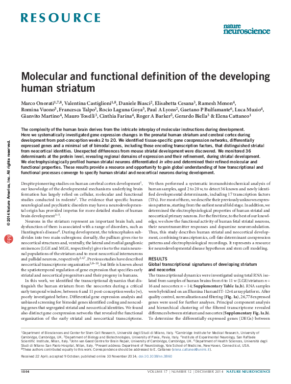 Pdf Molecular And Functional Definition Of The Developing Human Striatum