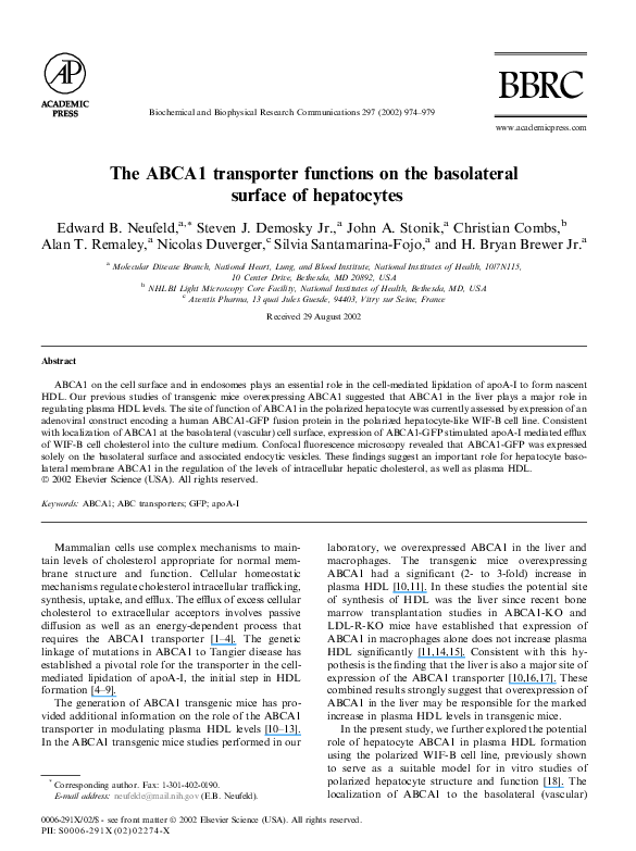(PDF) The ABCA1 transporter functions on the basolateral surface of ...
