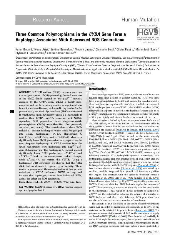 (PDF) Three common polymorphisms in the CYBA gene form a haplotype ...