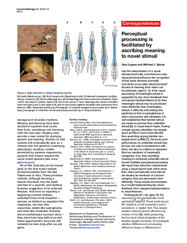 (PDF) Perceptual processing is facilitated by ascribing meaning to ...