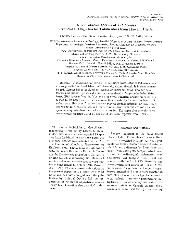 (PDF) A new marine species of Tubificoides (Annelida: Oligochaeta ...