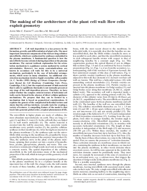 (PDF) The making of the architecture of the plant cell wall: How cells exploit geometry