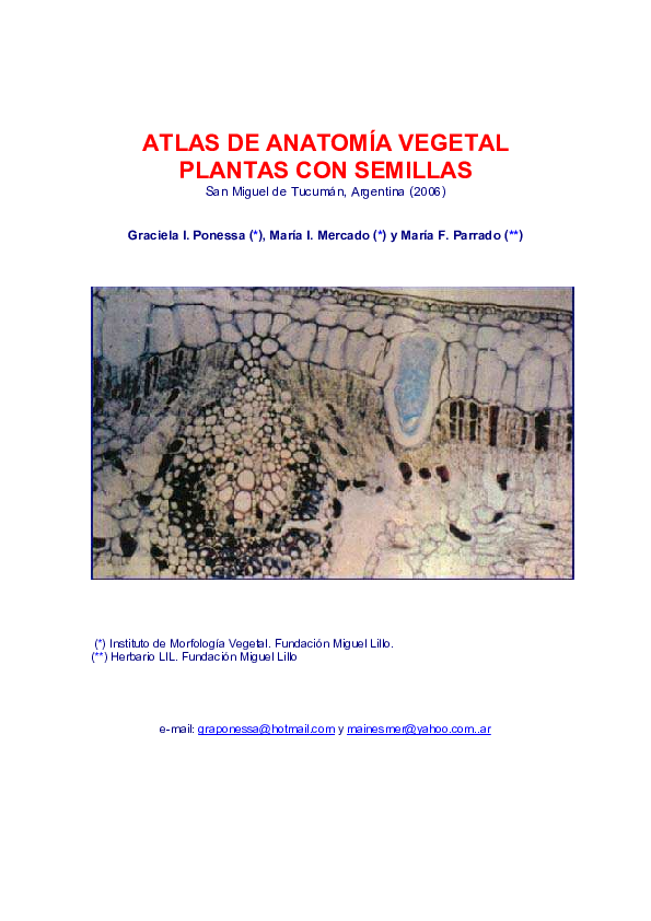 (PDF) ATLAS DE ANATOMÍA VEGETAL PLANTAS CON SEMILLAS
