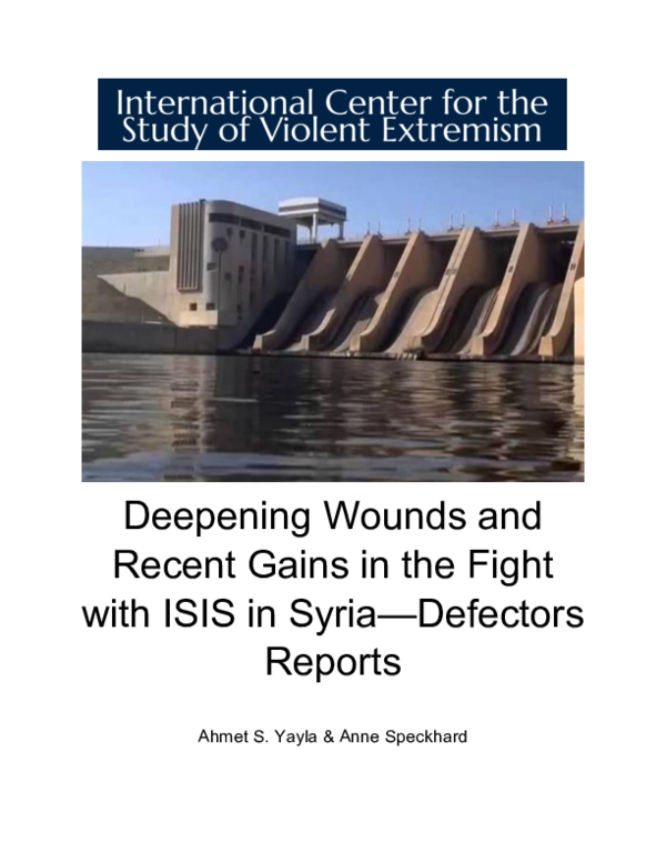 (PDF) Deepening Wounds and Recent Gains in the Fight with ISIS in Syria ...
