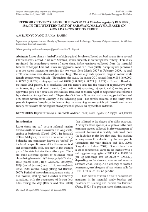 (PDF) REPRODUCTIVE CYCLE OF THE RAZOR CLAM Solen regularis DUNKER, 1862 ...