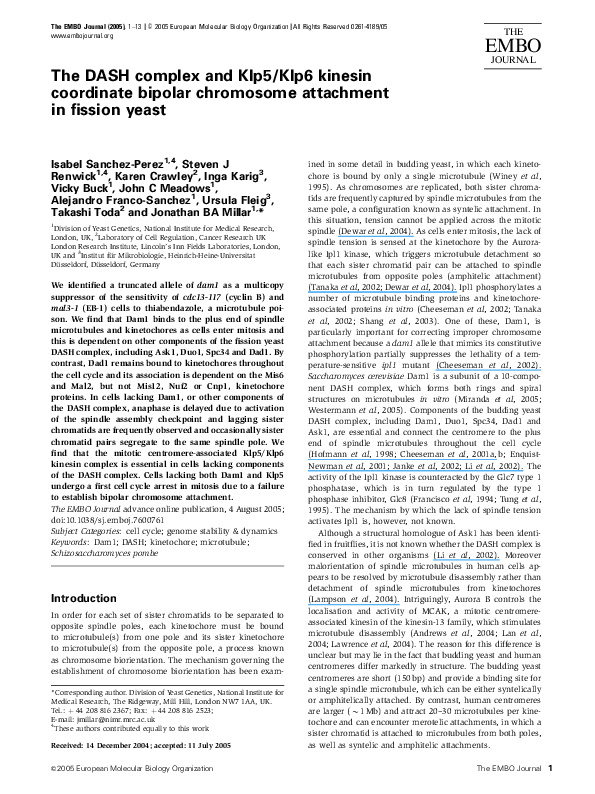 (PDF) The DASH complex and Klp5/Klp6 kinesin coordinate bipolar ...