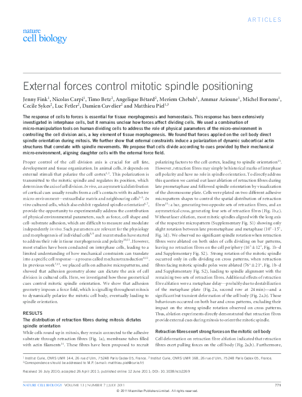 (PDF) External forces control mitotic spindle positioning