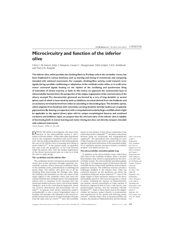 (PDF) Microcircuitry and function of the inferior olive