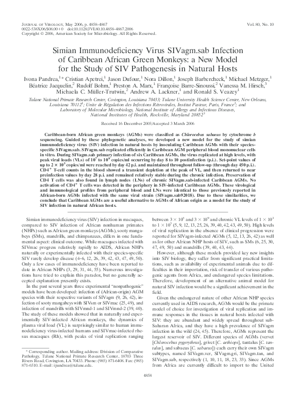 (PDF) Simian Immunodeficiency Virus SIVagm.sab Infection of Caribbean ...