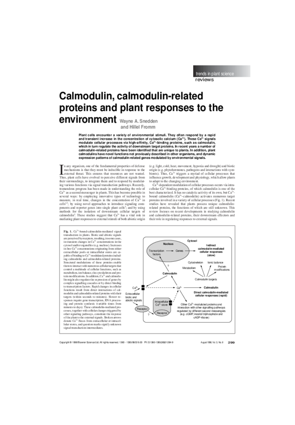 (PDF) Calmodulin, calmodulin-related proteins and plant responses to ...