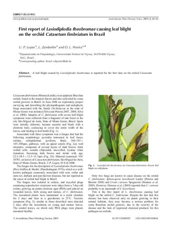 (PDF) First report of Lasiodiplodia theobromae causing stem rot disease of begonia (Begonia x ...