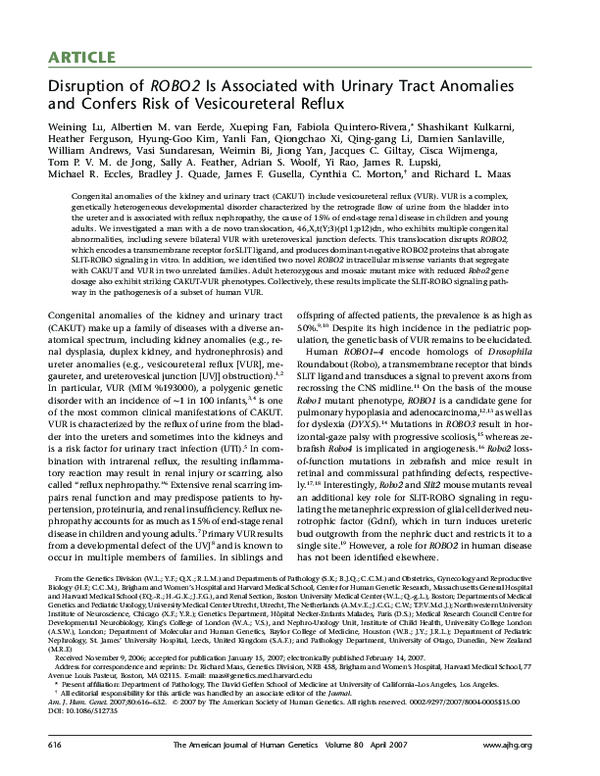 (PDF) Disruption of ROBO2 Is Associated with Urinary Tract Anomalies ...