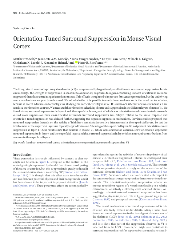 (PDF) Orientation-Tuned Surround Suppression in Mouse Visual Cortex