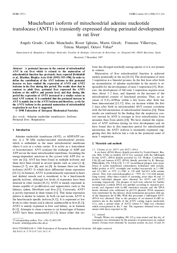 (PDF) Muscle/heart isoform of mitochondrial adenine nucleotide ...
