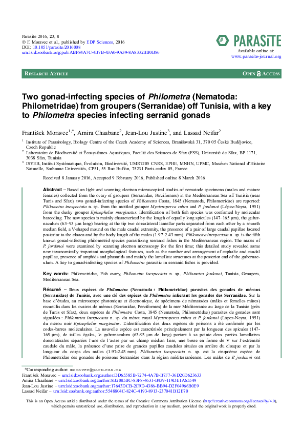 (PDF) Two gonad-infecting species of Philometra (Nematoda ...