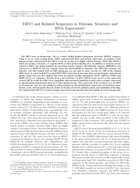 (PDF) ERV3 and Related Sequences in Humans: Structure and RNA Expression