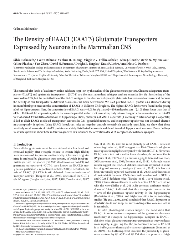 (PDF) The Density of EAAC1 (EAAT3) Glutamate Transporters Expressed by ...