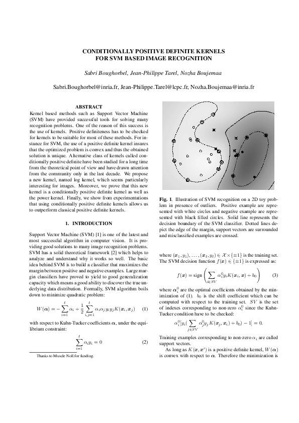 (PDF) Conditionally Positive Definite Kernels for SVM Based Image Recognition