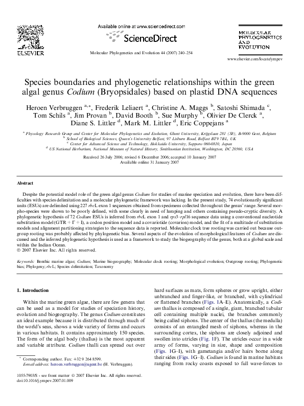 (PDF) Species boundaries and phylogenetic relationships within the ...