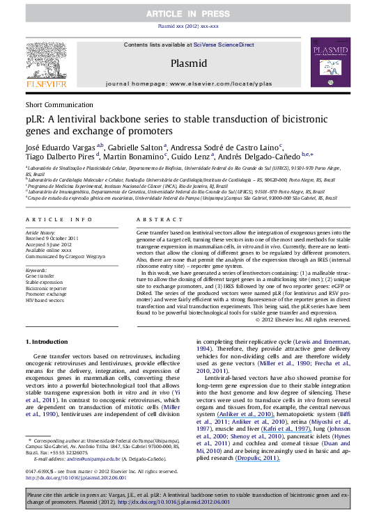 (PDF) pLR: A lentiviral backbone series to stable transduction of ...