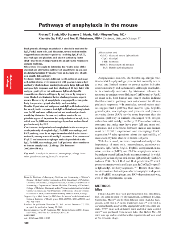 (PDF) Pathways of anaphylaxis in the mouse