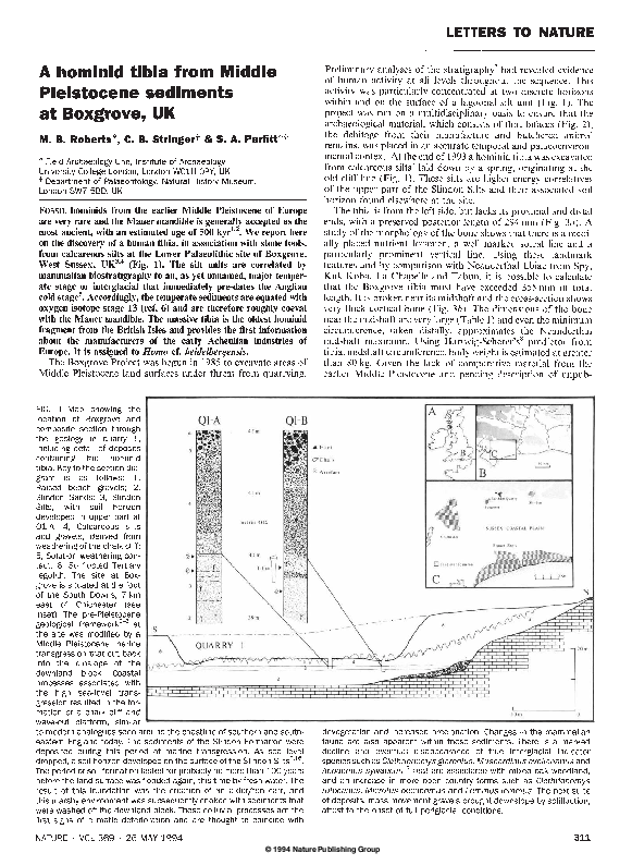 (PDF) A hominid tibia from Middle Pleistocene sediments at Boxgrove, UK
