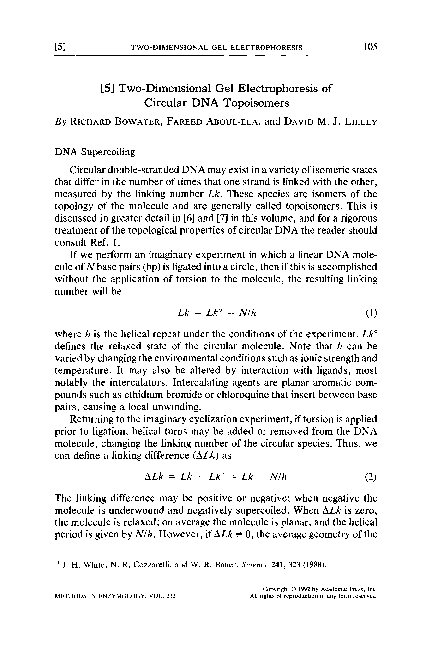 (PDF) Two-dimensional gel electrophoresis of circular DNA topoisomers