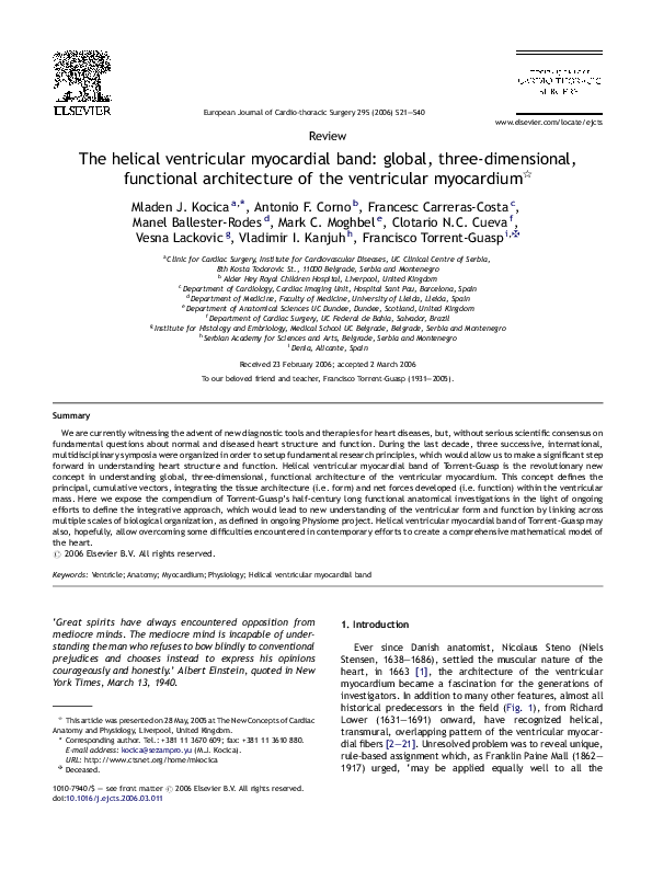 (PDF) Three-layered ventricular septum of the helical heart: functional ...