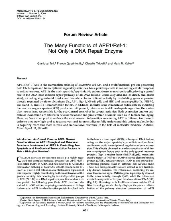 (PDF) The Many Functions of APE1/Ref-1: Not Only a DNA Repair Enzyme