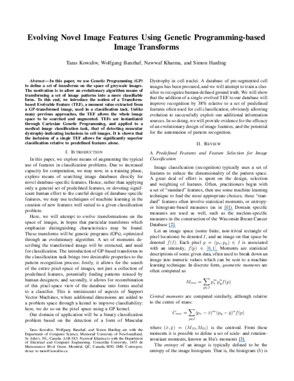(PDF) Evolving novel image features using Genetic Programming-based image transforms
