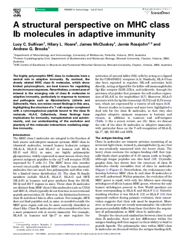 (PDF) A structural perspective on MHC class Ib molecules in adaptive ...