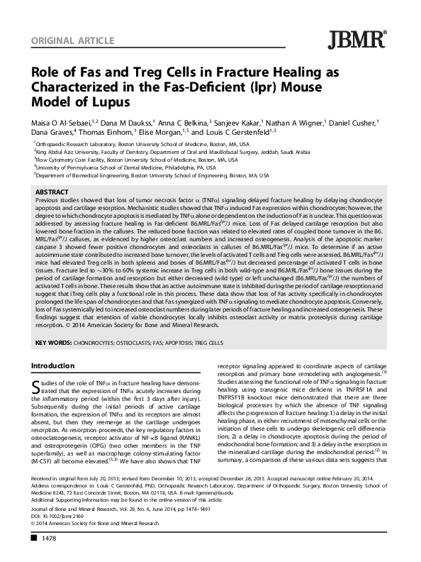 (PDF) Role of Fas and Treg Cells in Fracture Healing as Characterized ...