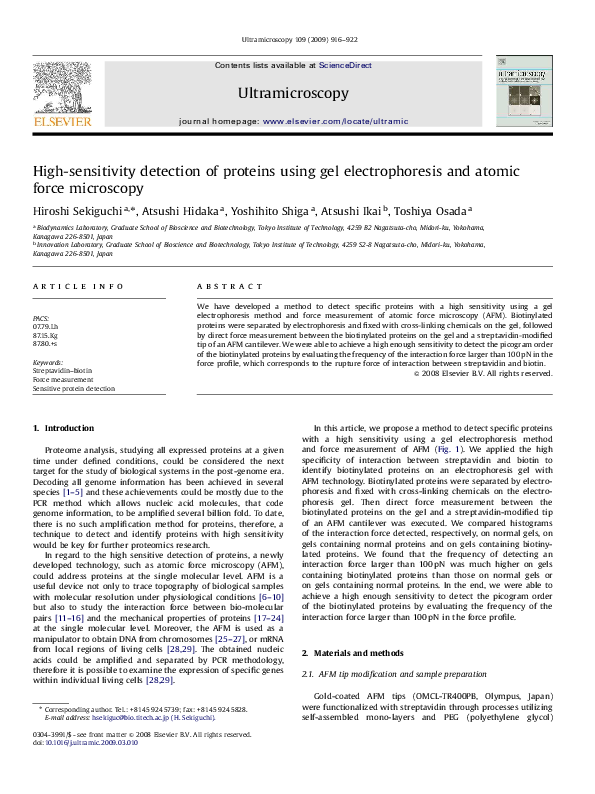 Pdf High Sensitivity Detection Of Proteins Using Gel Electrophoresis And Atomic Force Microscopy