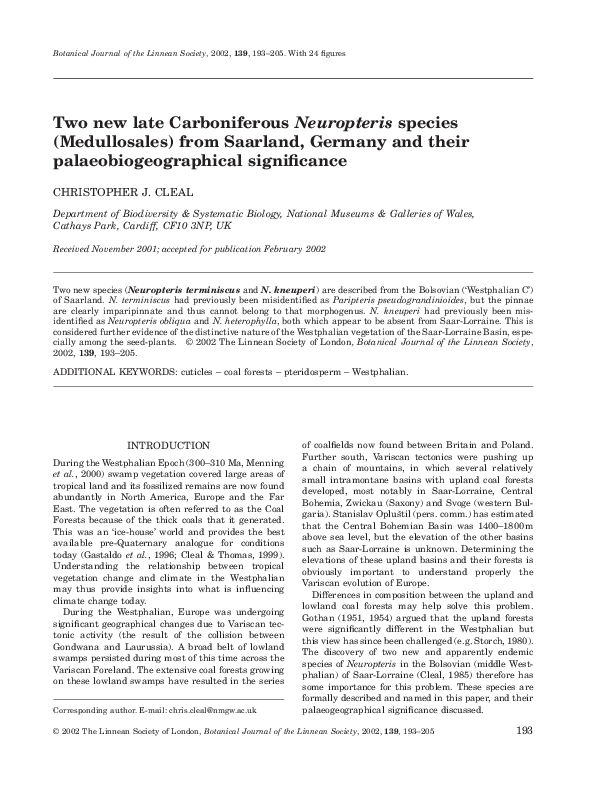 (PDF) Two new late Carboniferous Neuropteris species (Medullosales ...