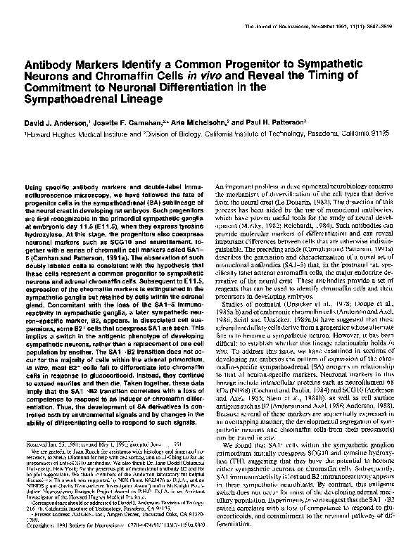 (PDF) Antibody markers identify a common progenitor to sympathetic ...