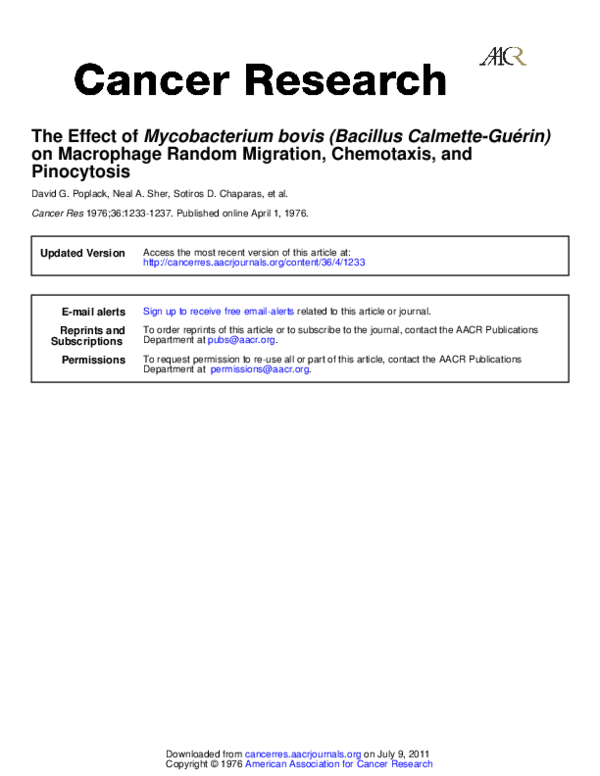 (PDF) The Effect of Mycobacterium bovis (Bacillus Calmette-Guérin) on ...