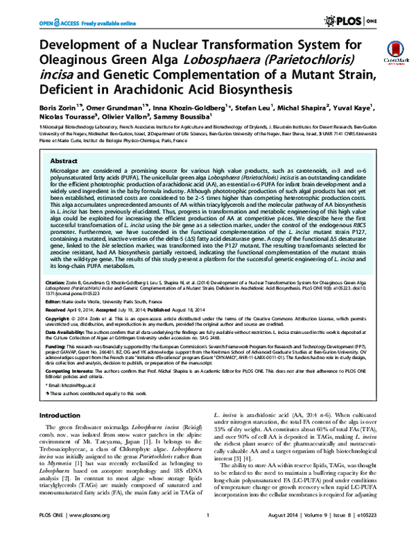 (PDF) Development of a nuclear transformation system for Oleaginous ...
