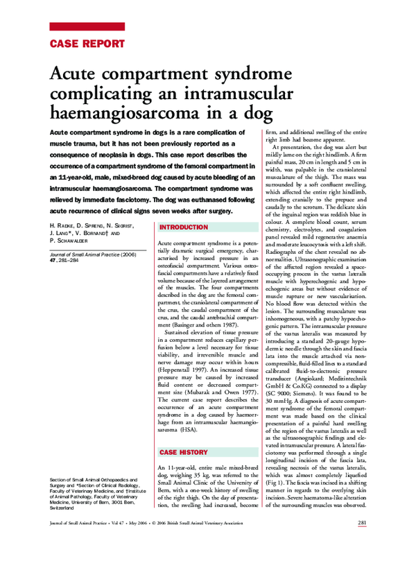 (PDF) Acute compartment syndrome complicating an intramuscular ...