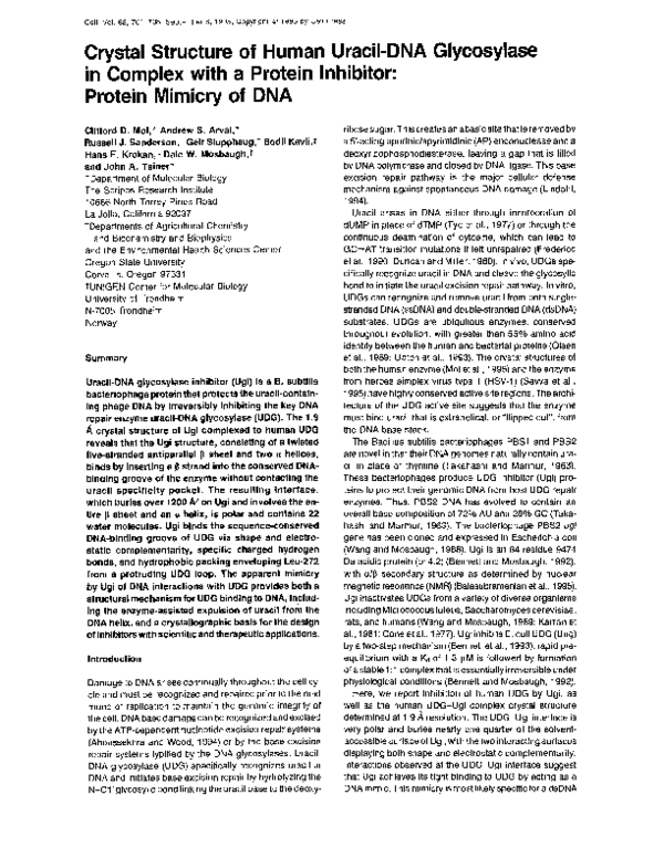 (PDF) Crystal structure of human uracil-DNA glycosylase in complex with a protein inhibitor ...