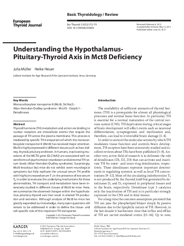 (PDF) Understanding the Hypothalamus-Pituitary-Thyroid Axis in Mct8 Deficiency