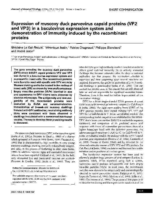 (PDF) Expression of Muscovy Duck Parvovirus Capsid Proteins (VP2 and ...